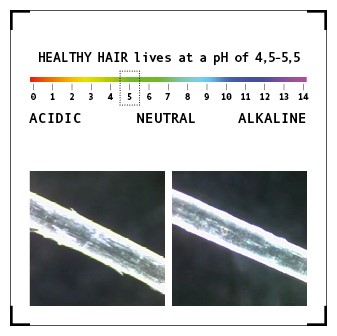 Acidic Bonding Concentrate | L'Oréal Partner Shop